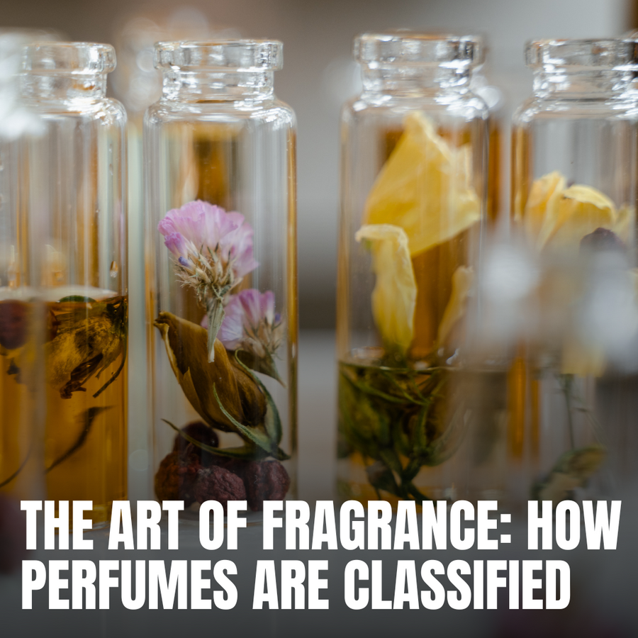 The Art of Fragrance: How Perfumes Are Classified